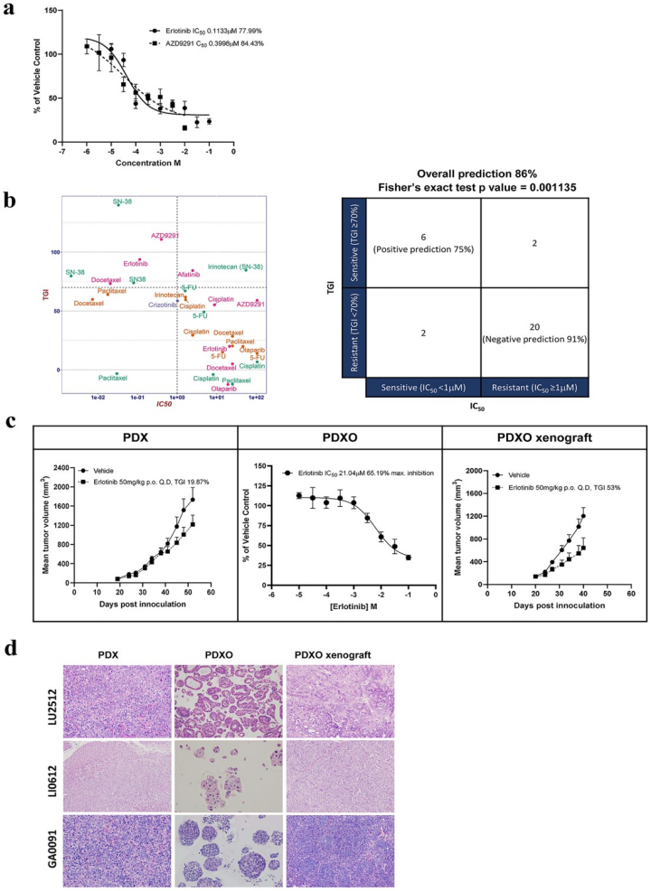 癌症药物发现的强大工具：PDX和PDO配对样本库 - 文献解读 - 艾尔温ikelvin，实验室和生物样本库整体解决方案，上海艾尔温生命科技有限公司